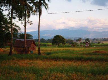 Among Worlds – For TCKs, by TCKs